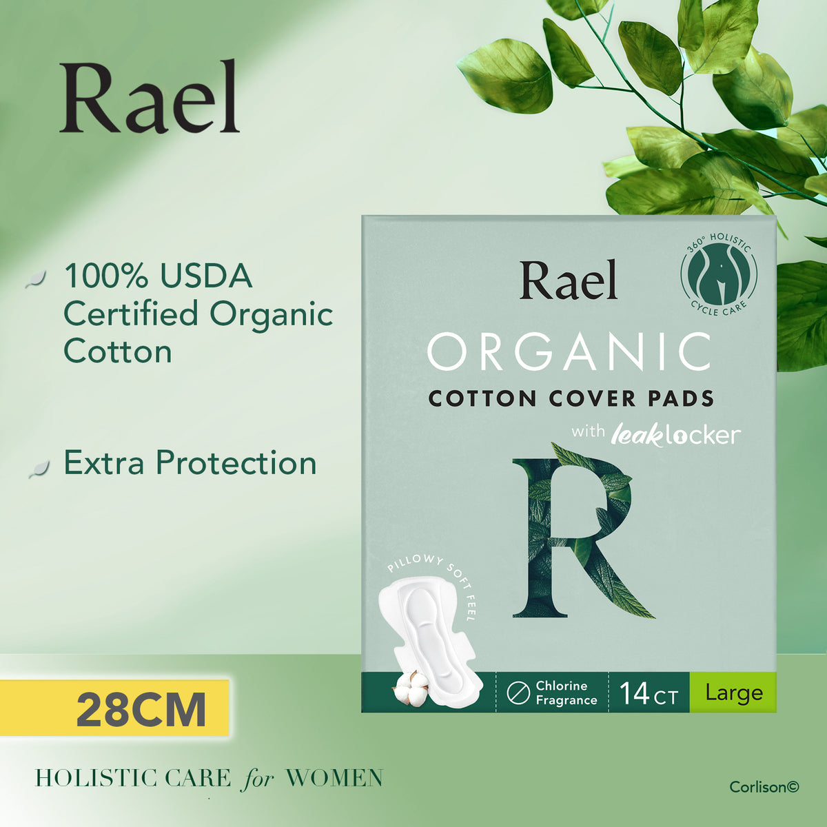 Rael Large Pads with Organic Cotton Cover 12s | Rael Singapore